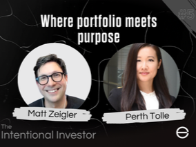 The Intentional Investor #5: Perth Tolle - Epsilon Theory