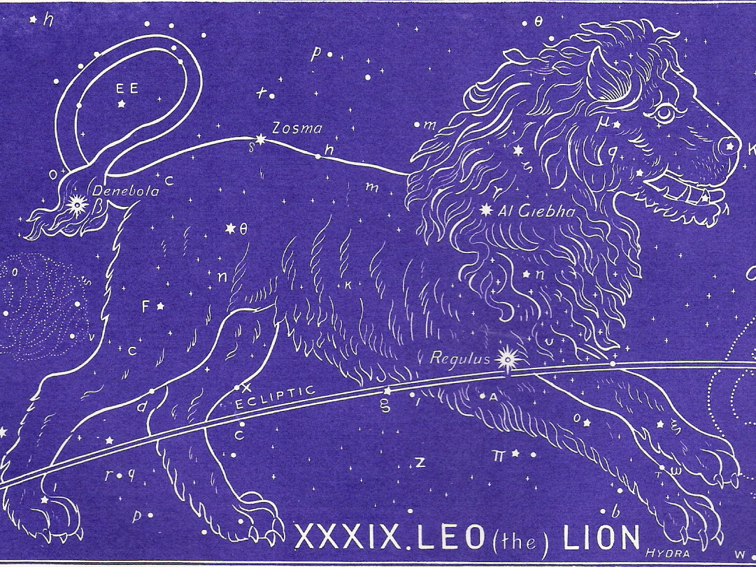 Epsilon Theory Discovery Map - Epsilon Theory