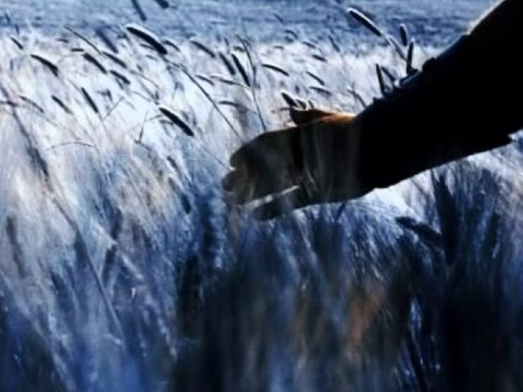 Remembering the Face of Your Father - Epsilon Theory